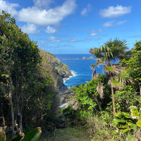 Radia Car Rentals and Taxi Service | Car Rental Agency | Tobago